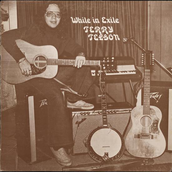 While In Exile - Terry Telson (LP) | Køb vinyl/LP, Vinylpladen.dk