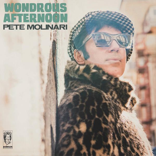 Wondrous Afternoon - Pete Molinari (LP) | Køb vinyl/LP, Vinylpladen.dk