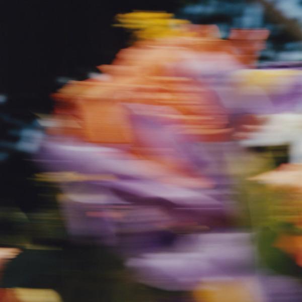 Tides - Catching Flies (vinyl) | Køb vinyl/LP, Vinylpladen.dk