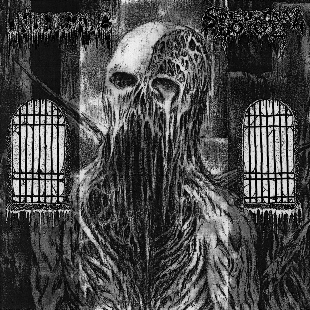 Split LP - Spectral Voice / Undergang (LP) | Køb vinyl/LP, Vinylpladen.dk
