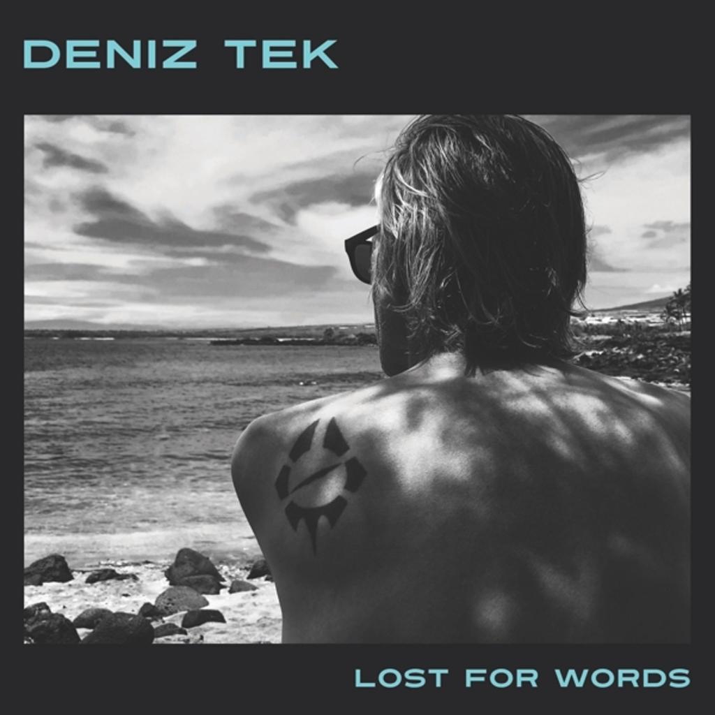 Lost For Words - Deniz Tek (LP) | Køb vinyl/LP, Vinylpladen.dk