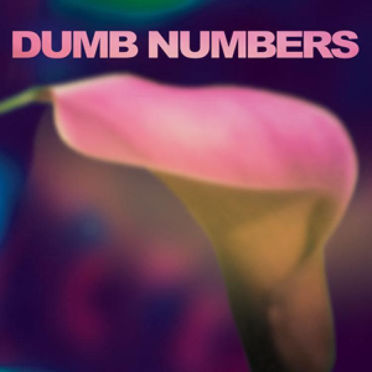 Dumb Numbers - Dumb Numbers (LP) | Køb vinyl/LP, Vinylpladen.dk