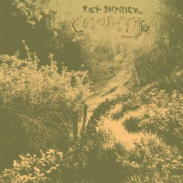 Coyote Canyon - Rick Deitrick (LP) | Kjøp vinyl/LP, Vinylpladen.no