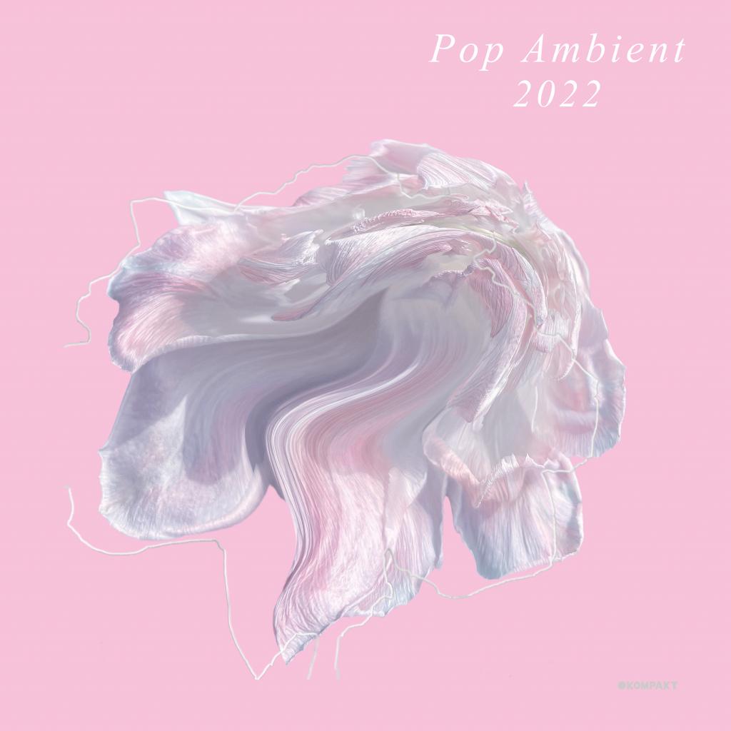 Pop Ambient 2022 - Various Artists (LP) | Køb vinyl/LP, Vinylpladen.dk