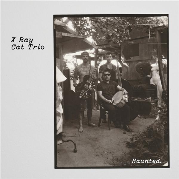 Haunted - X Ray Cat Trio (LP) | Köpa vinyl/LP, Vinylpladen.se