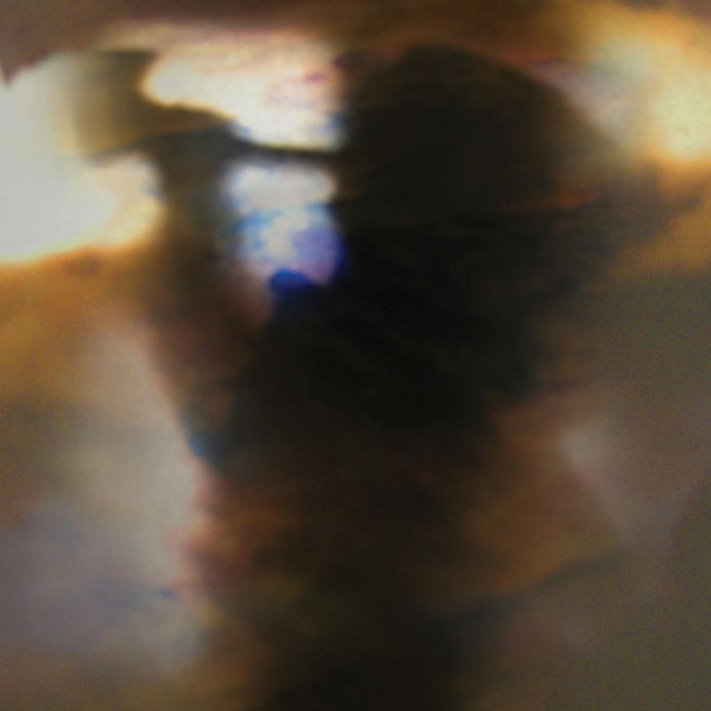 Fall Be Kind - Animal Collective (EP) | Køb vinyl/LP, Vinylpladen.dk