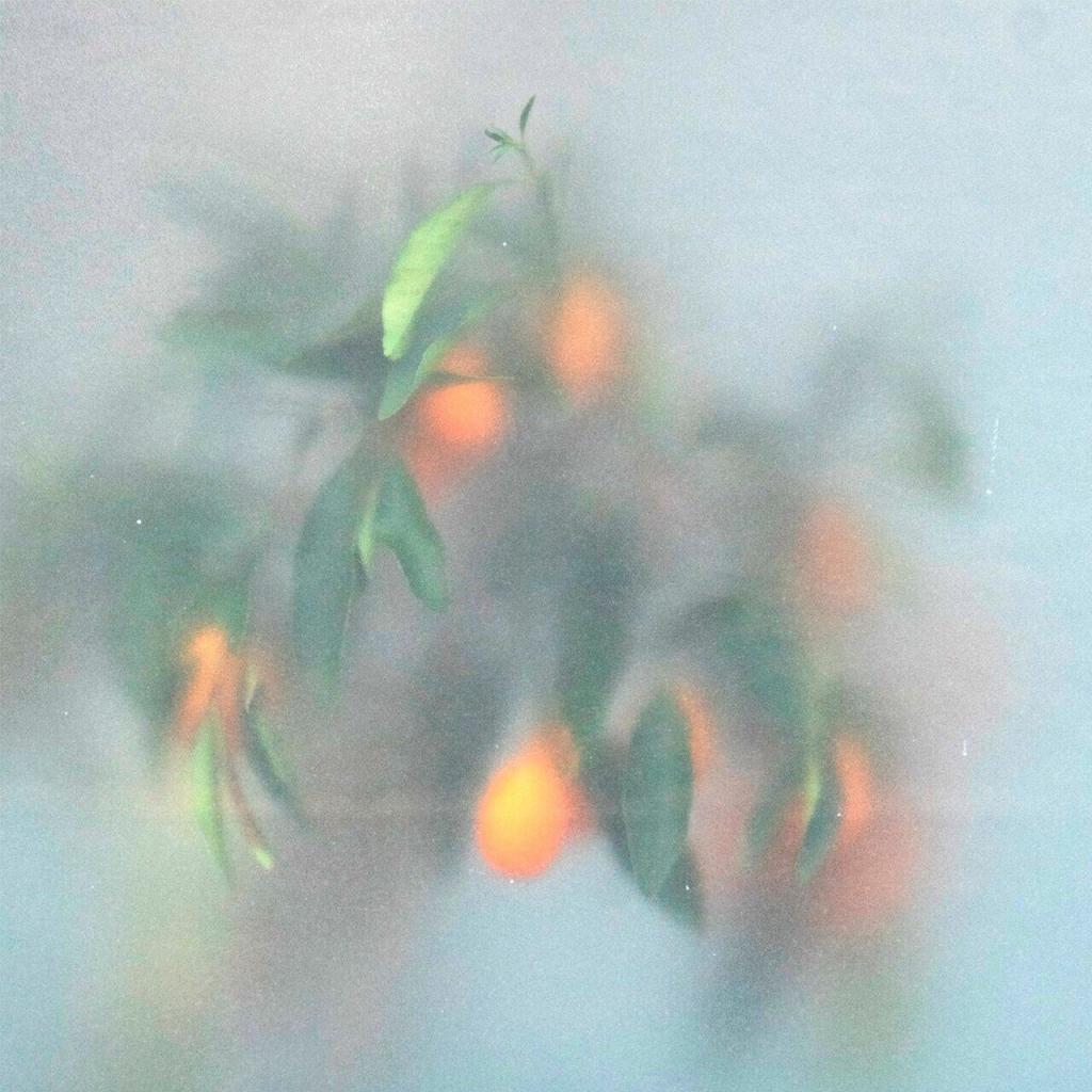 Secret Garden - U-Ziq & Mrs Jynx (LP) | Køb vinyl/LP, Vinylpladen.dk