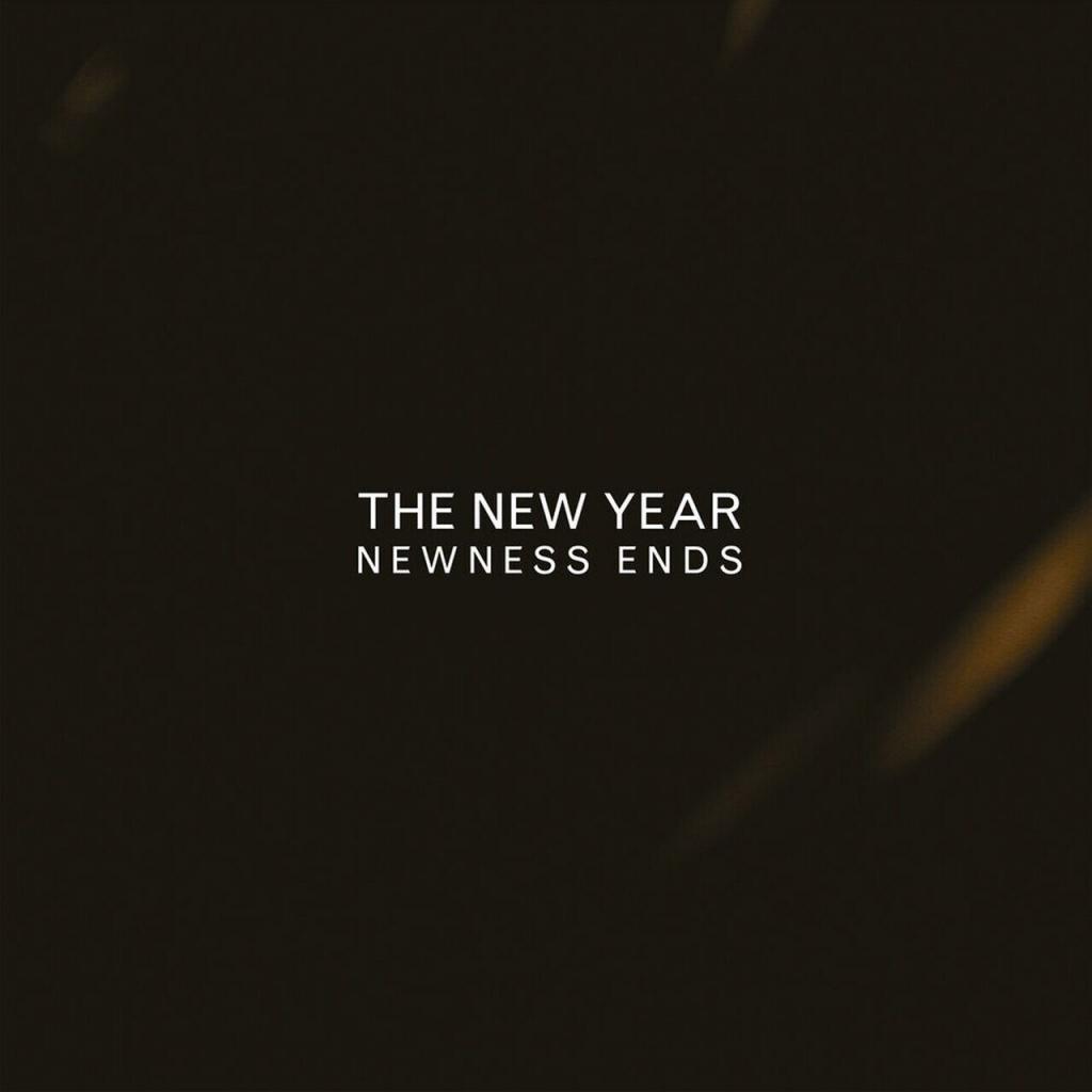Newness Ends - The New Year (LP) | Køb vinyl/LP, Vinylpladen.dk