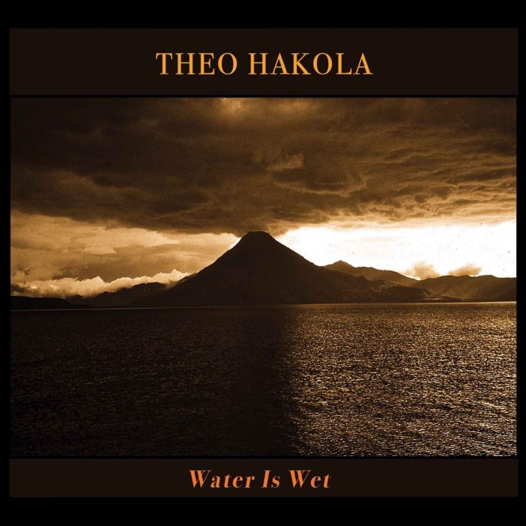 Water Is Wet - Theo Hakola (LP) | Kjøp vinyl/LP, Vinylpladen.no