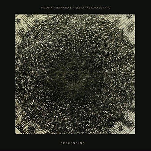 Descending - Jacob Kirkegaard & Niels Lyhne Lokkegaard (vinyl) | Køb ...