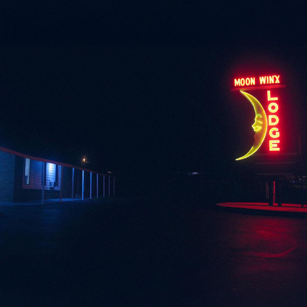 Moon Winx - Will Stewart (LP) | Køb vinyl/LP, Vinylpladen.dk