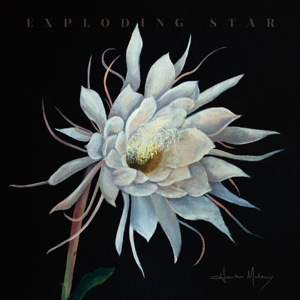 Exploding Star - Heather Maloney (LP) | Køb vinyl/LP, Vinylpladen.dk