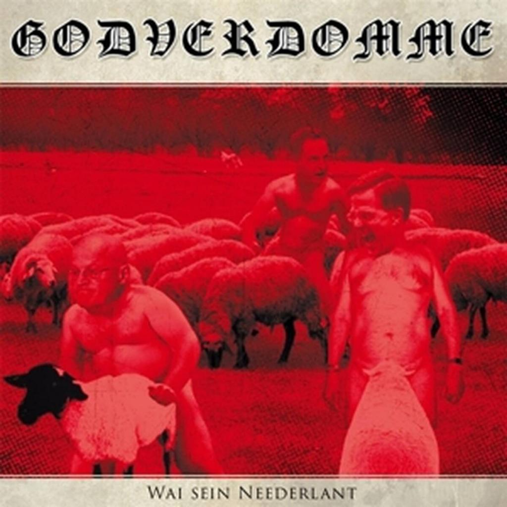 Wai Sein Neederlant! - Godverdomme (Tim Steinford) (LP) | Kjøp vinyl/LP ...