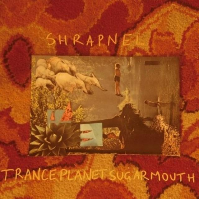 Tranceplanetsugarmouth - Shrapnel (LP) | Køb vinyl/LP, Vinylpladen.dk