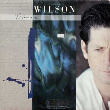 Brian Wilson - Brian Wilson (LP) | Køb vinyl/LP, Vinylpladen.dk