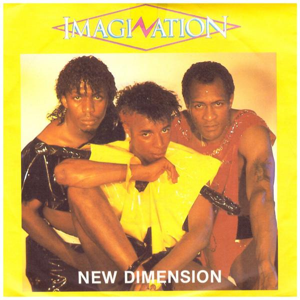 New Dimension (single) - Imagination (vinyl) | Køb vinyl/LP, Vinylpladen.dk