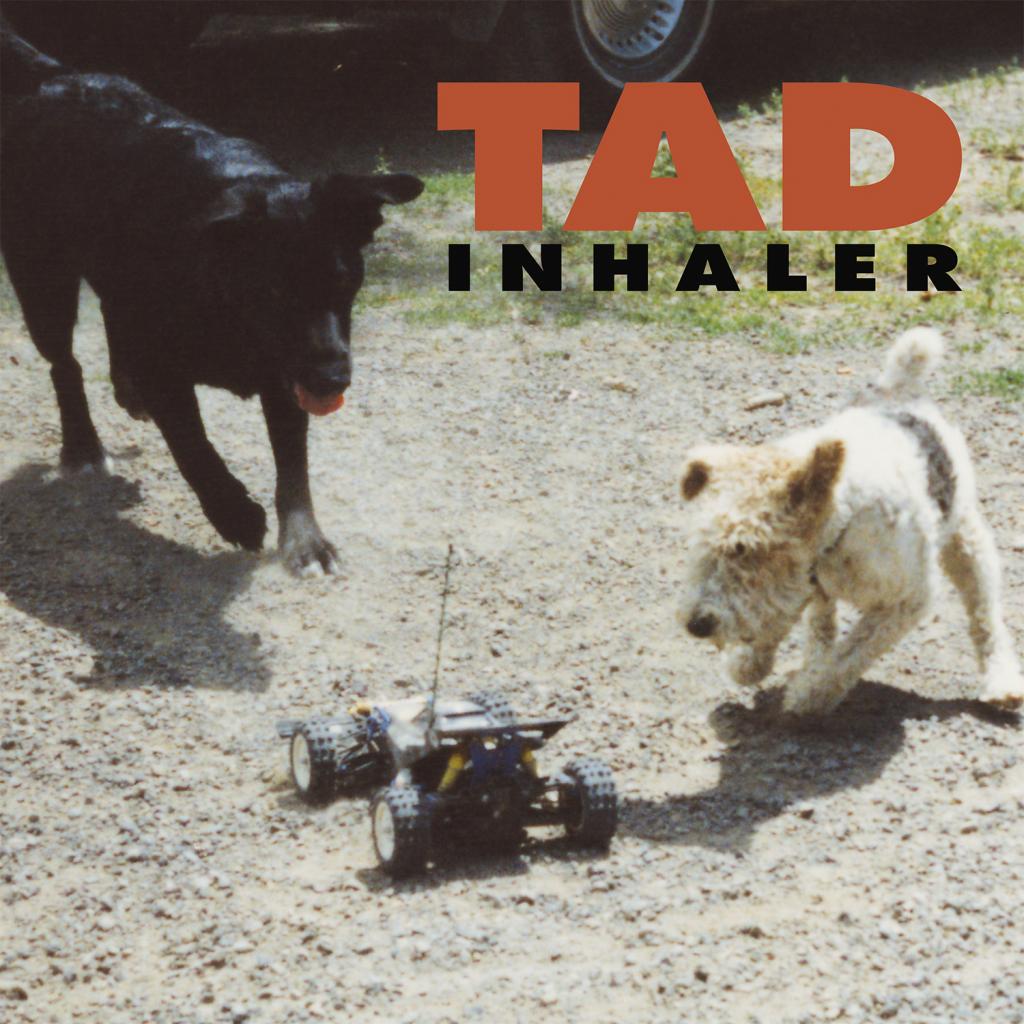 Inhaler - Tad (vinyl) | Køb vinyl/LP, Vinylpladen.dk