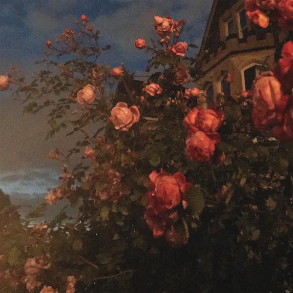 Love - John Bence (LP) | Køb vinyl/LP, Vinylpladen.dk