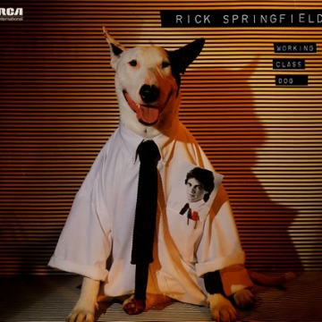 Working Class Dog - Rick Springfield (vinyl) | Køb vinyl/LP, Vinylpladen.dk